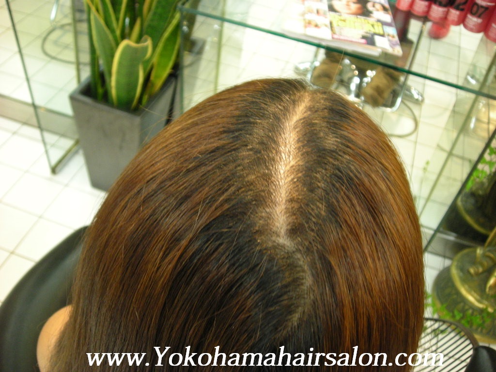 Frances root touch up and layers. | English Speaking Hair Stylist ...